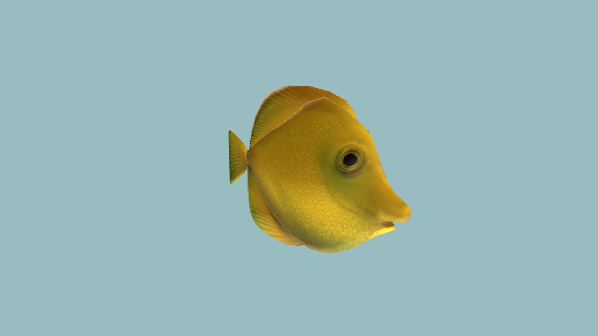 Oxidane - Yellow Tang - Download Free 3D model by JayNme (@JayNmeGaming ...