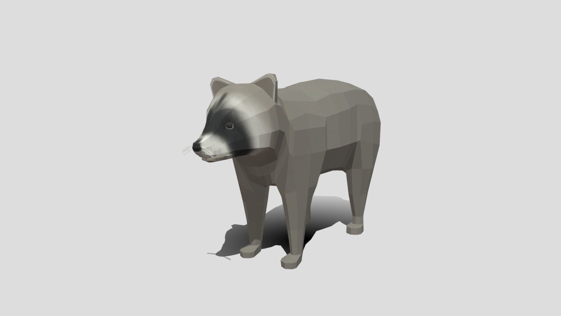 Low Poly Cartoon Raccoon - Buy Royalty Free 3D model by chroma3d ...