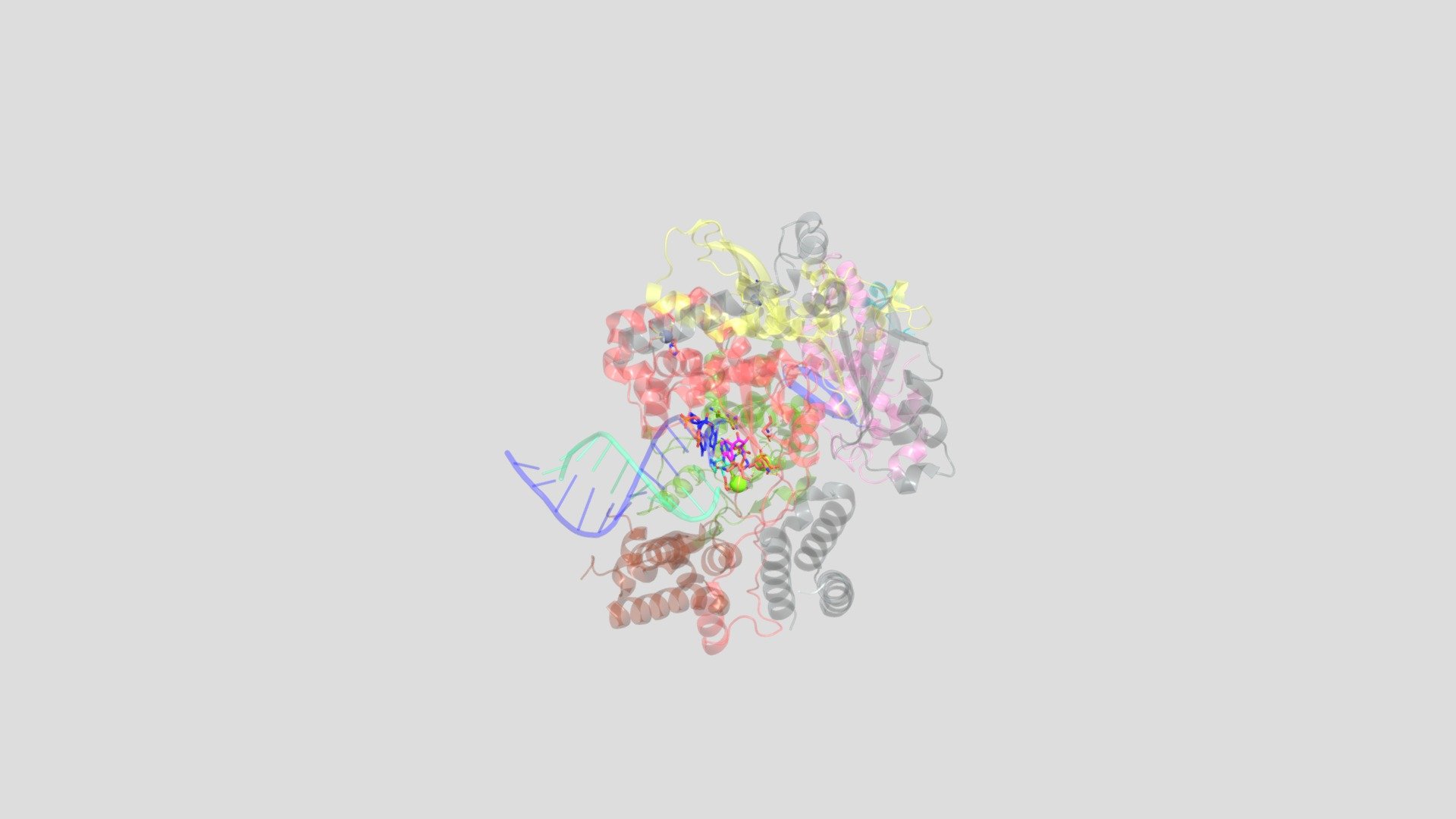 RNA dependant RNA Polymerase with Remdesivir - 3D model by bobbafett8 ...