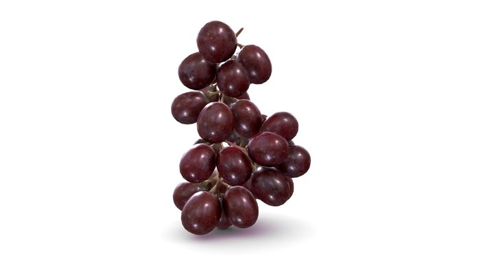 Vineyard 3D models - Sketchfab