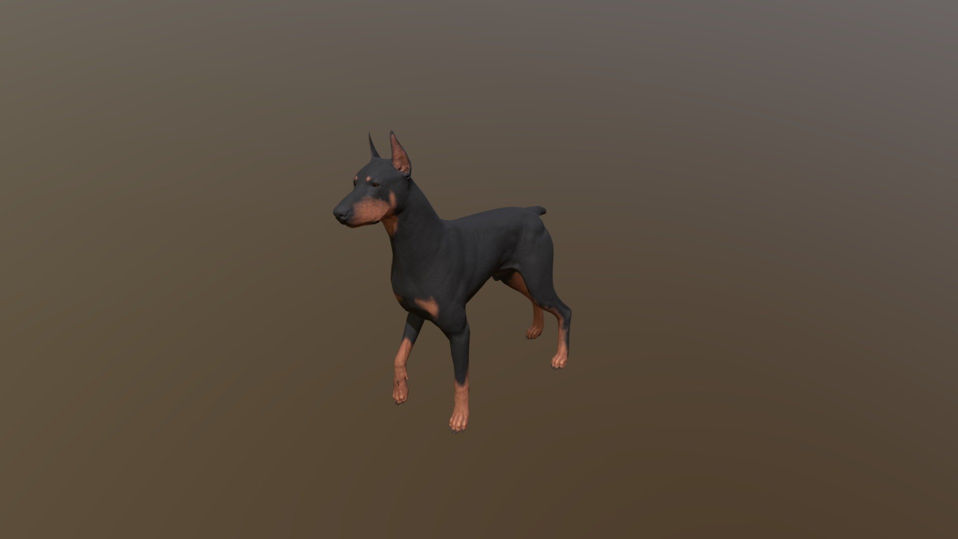 Doberman - Download Free 3D model by kenchoo [575c618] - Sketchfab