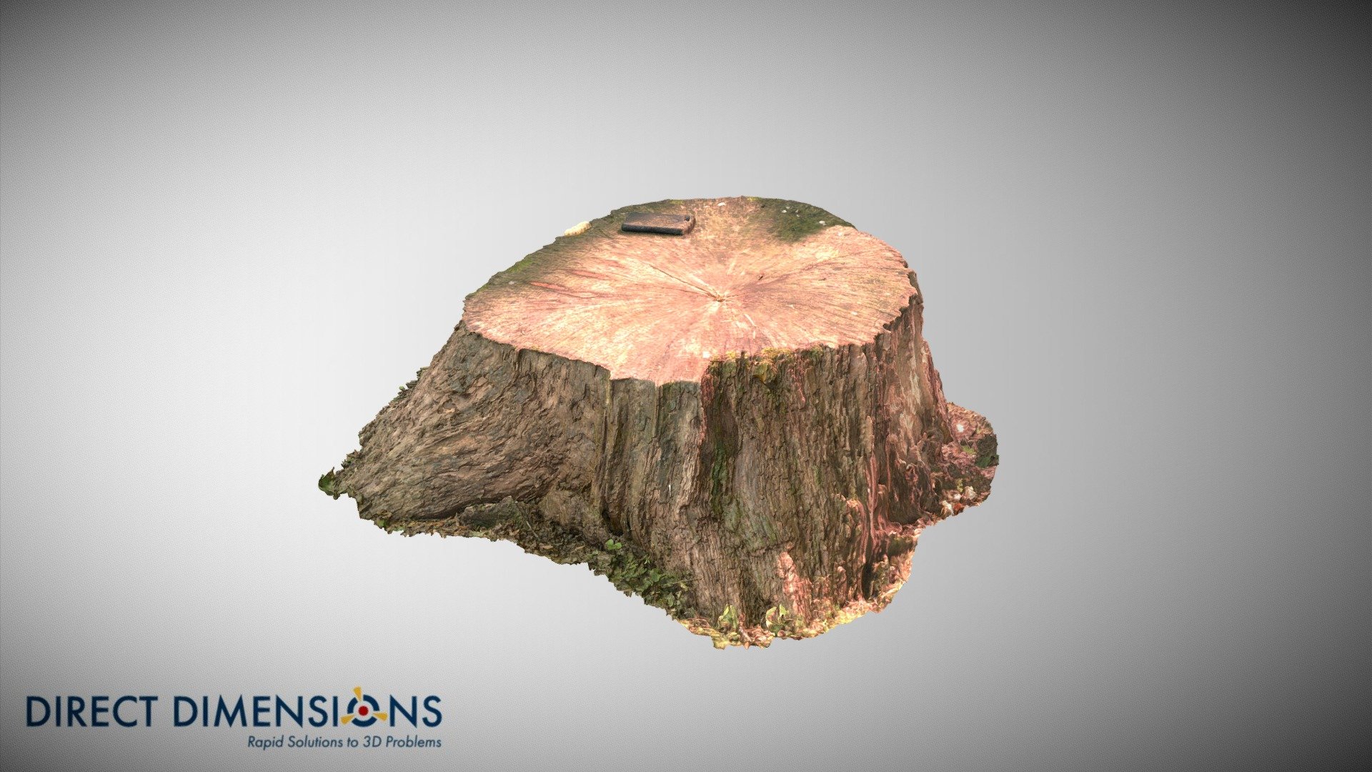 Stump Sample 1 - 3D model by Direct Dimensions (@dirdim) [5760d2b ...
