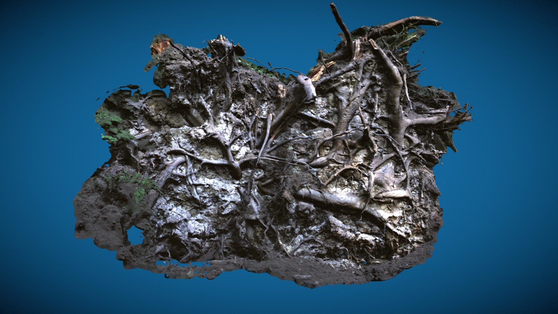 Fallen Tree Roots - 3D model by gspeed0689 [5767f0e] - Sketchfab