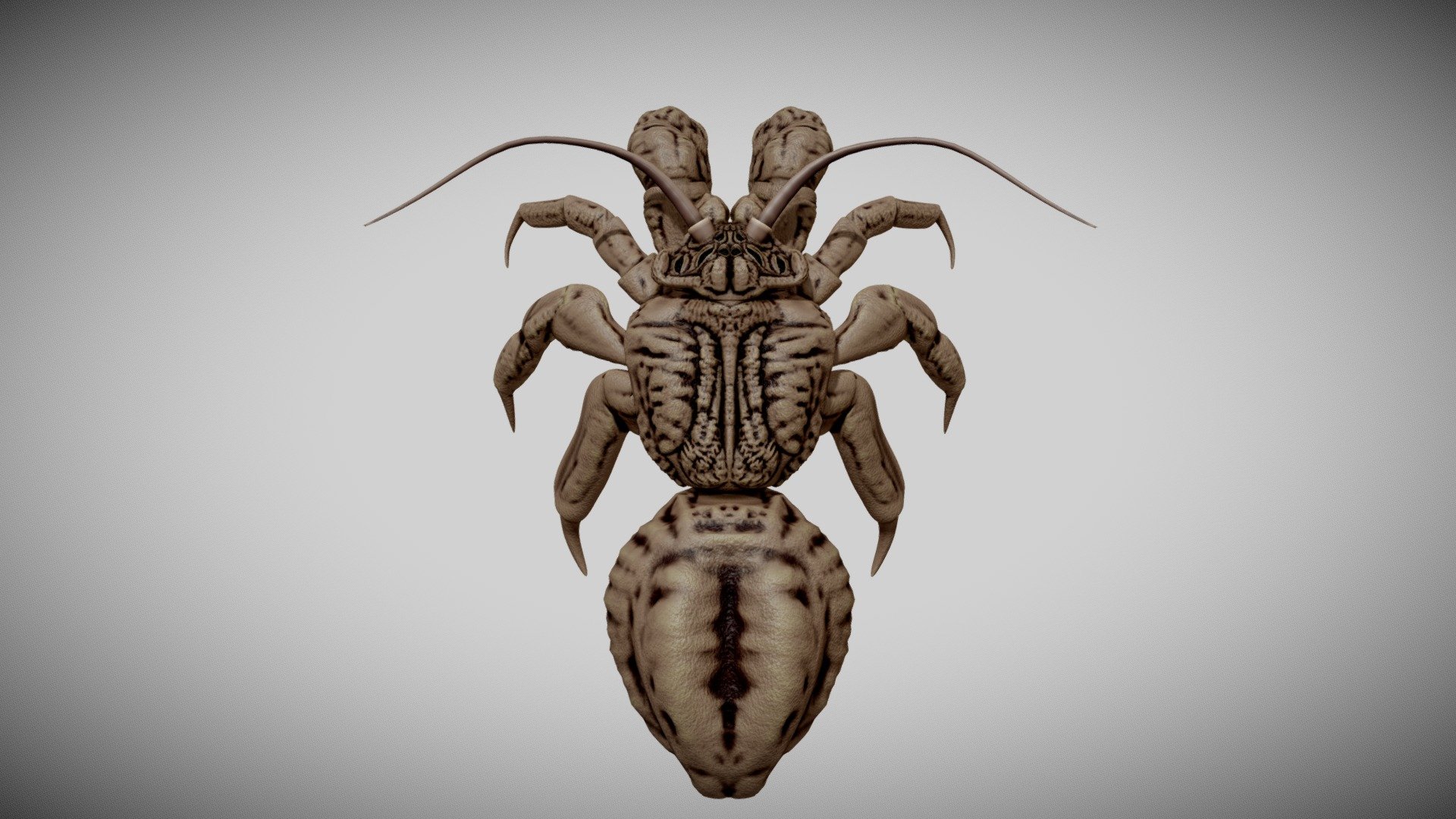 Spidercrab - 3D model by Zyleck [57726b1] - Sketchfab
