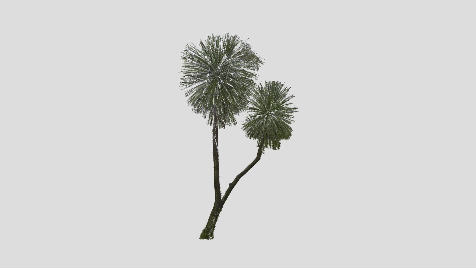Tree Point Cloud - Buy Royalty Free 3D model by magnum_opus (@tree ...