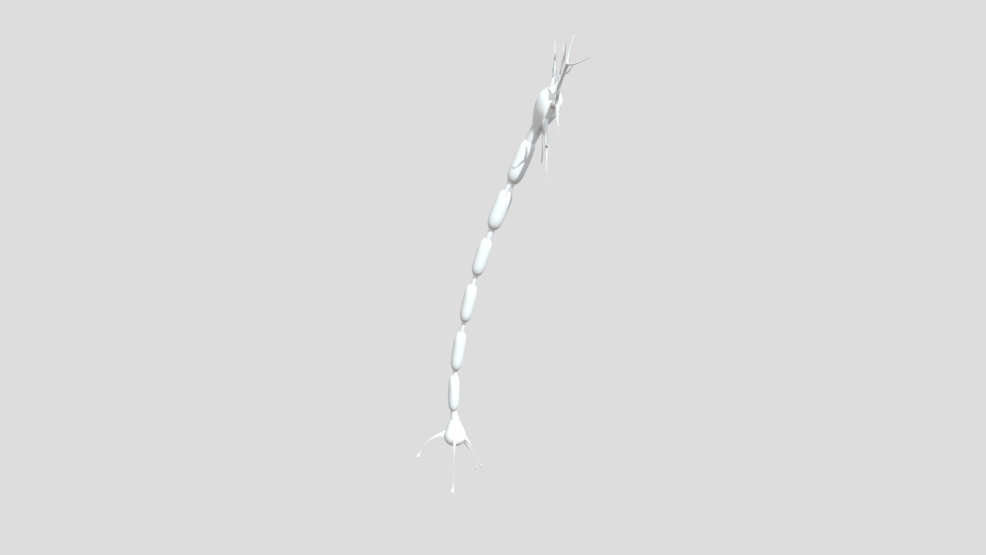 neuron - 3D model by willkeeler [5775ee4] - Sketchfab