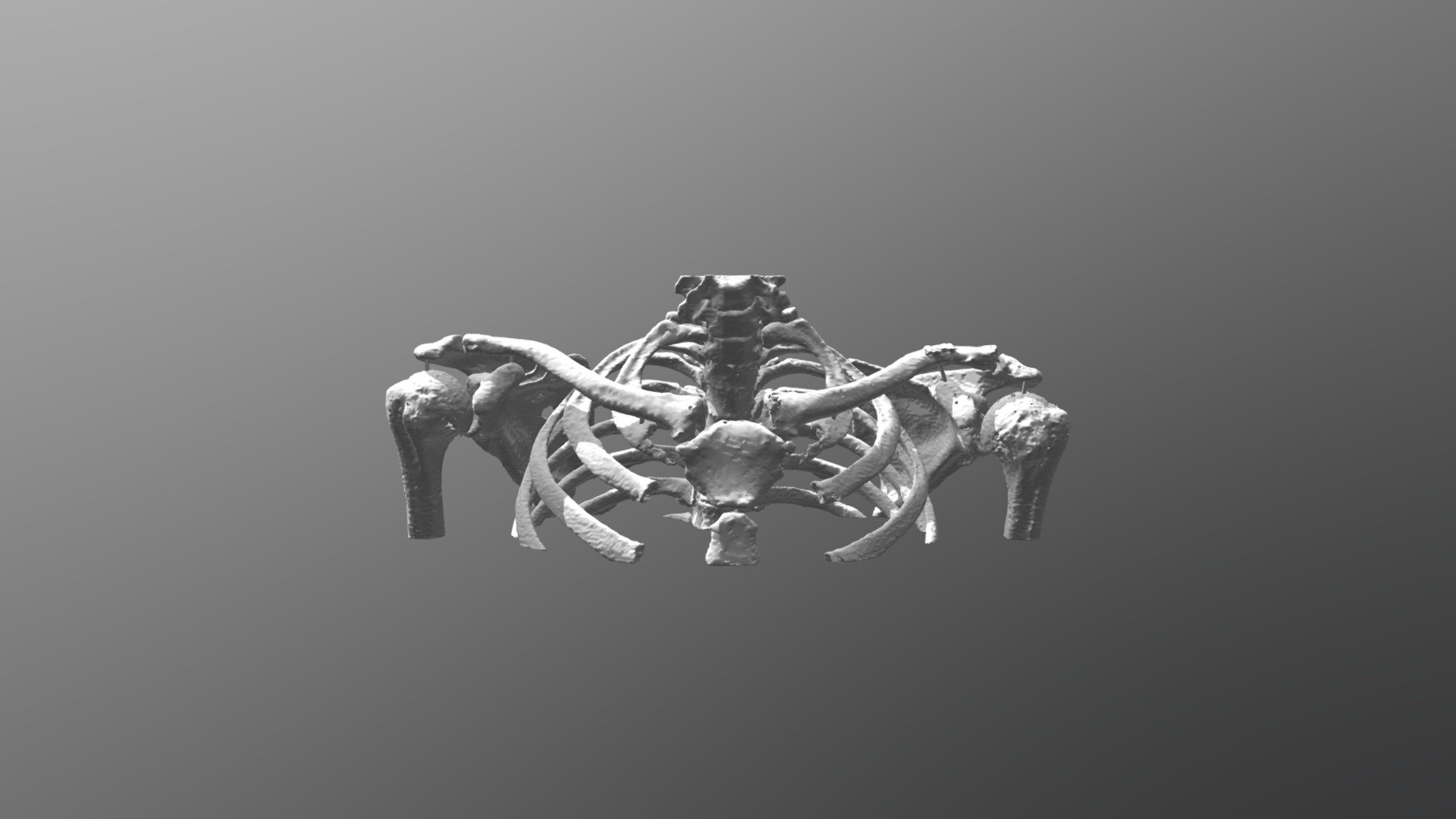 Shoulder W Pins - 3D model by jrs100000 [577bfdc] - Sketchfab