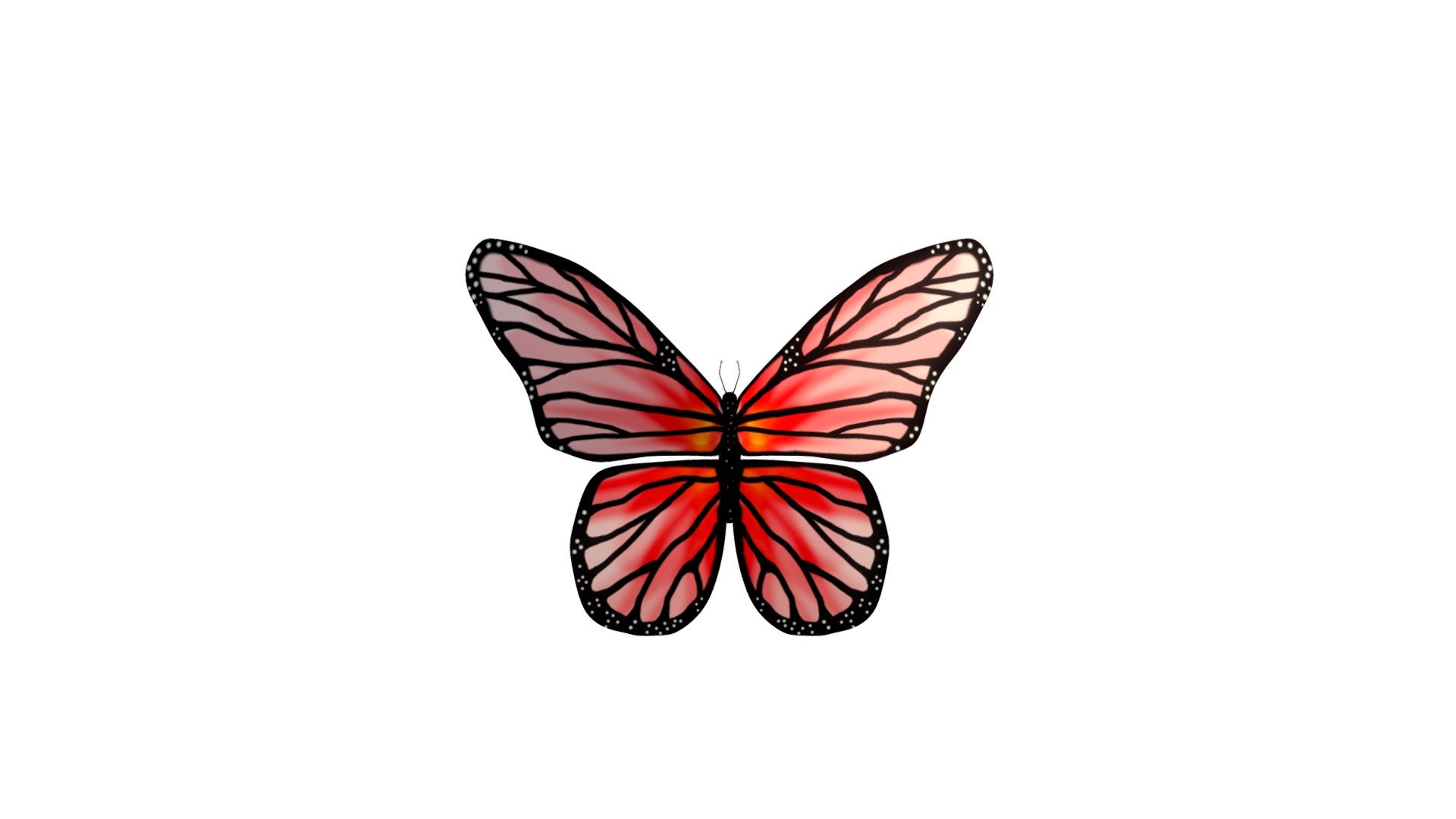 Animated Butterfly - 3D model by aka.solo_ [577df10] - Sketchfab
