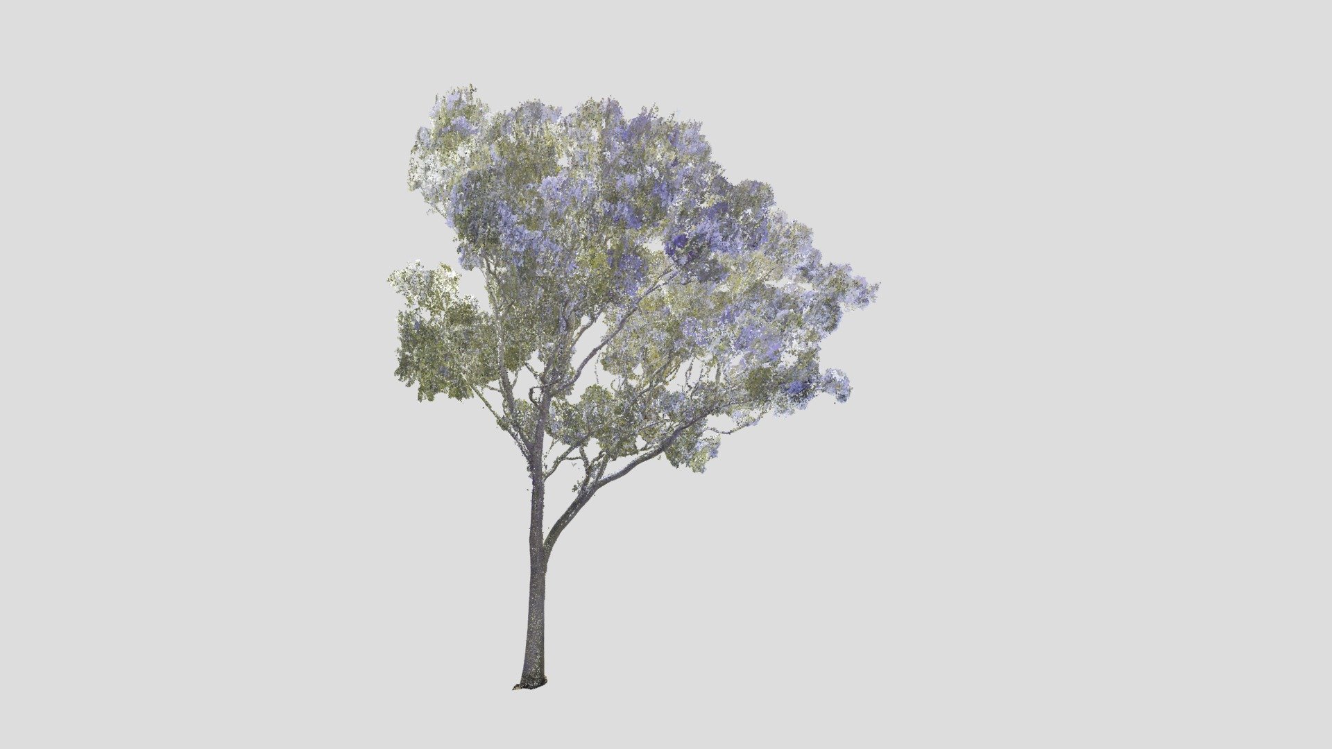 Tree Point Cloud - Buy Royalty Free 3D model by magnum_opus (@tree ...