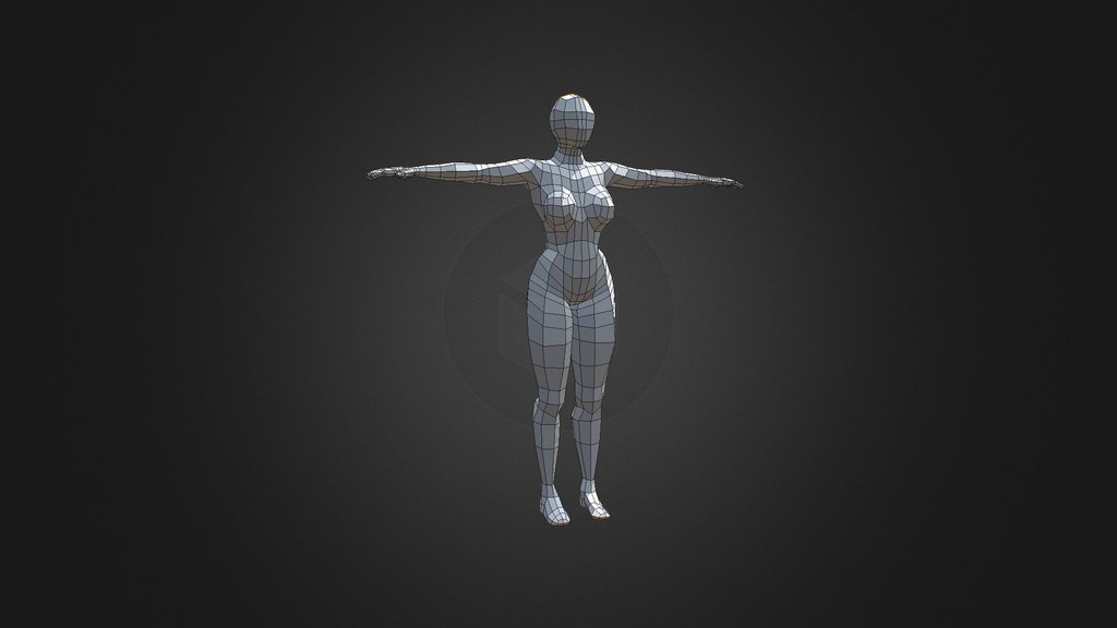 Female anatomy - A 3D model collection by major.warzone - Sketchfab