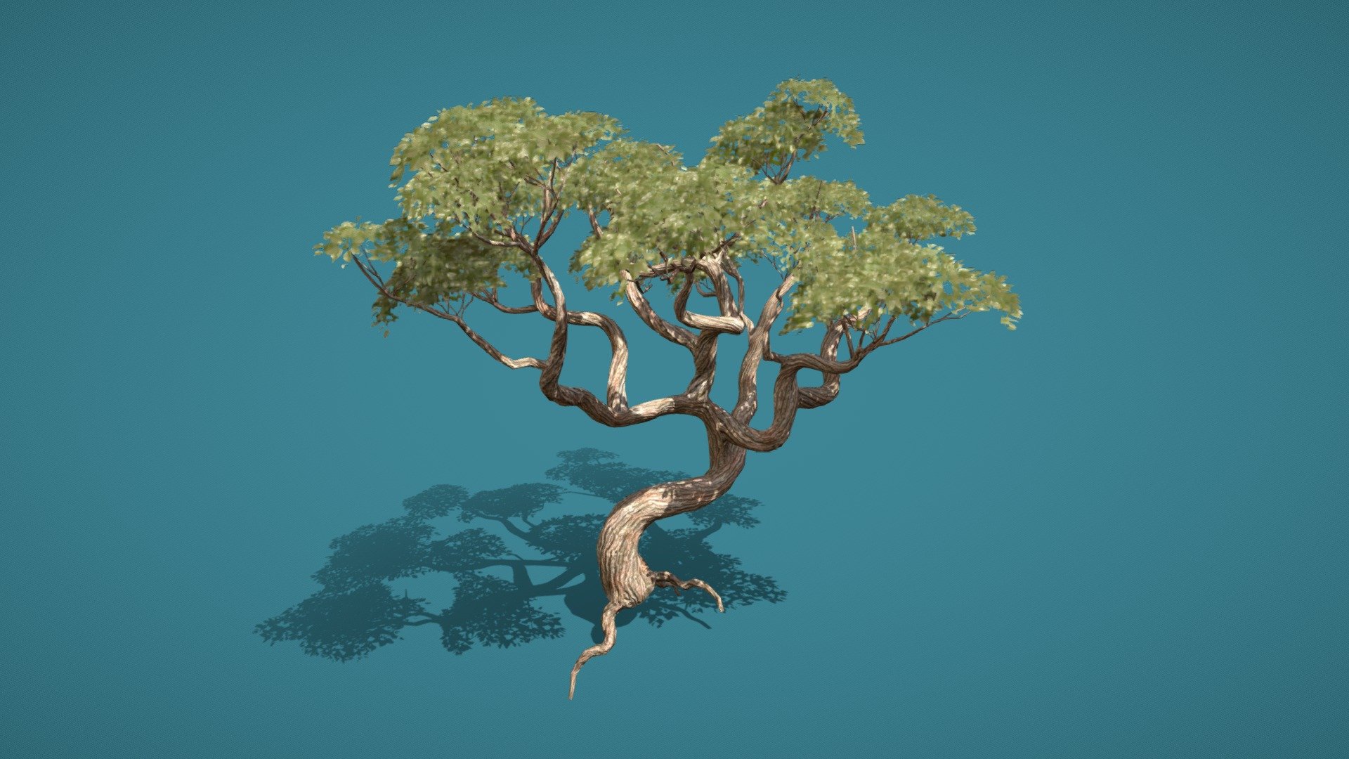 Old Tree - Download Free 3D model by gelmi.com.br (@rodrigogelmi ...