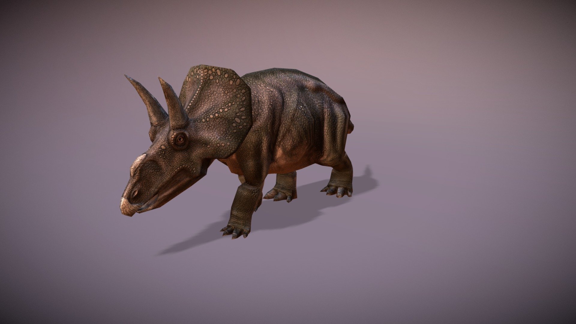 Diceratops Walk Cycle Studio Shot - 3D model by Adrian (@adrian ...