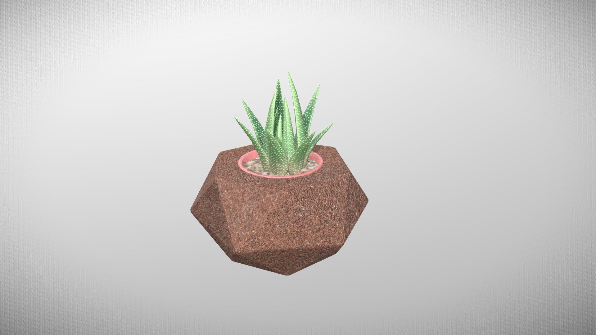 Succulent - Download Free 3D model by Elif Sumbul (@elif.smbl) [5797212 ...