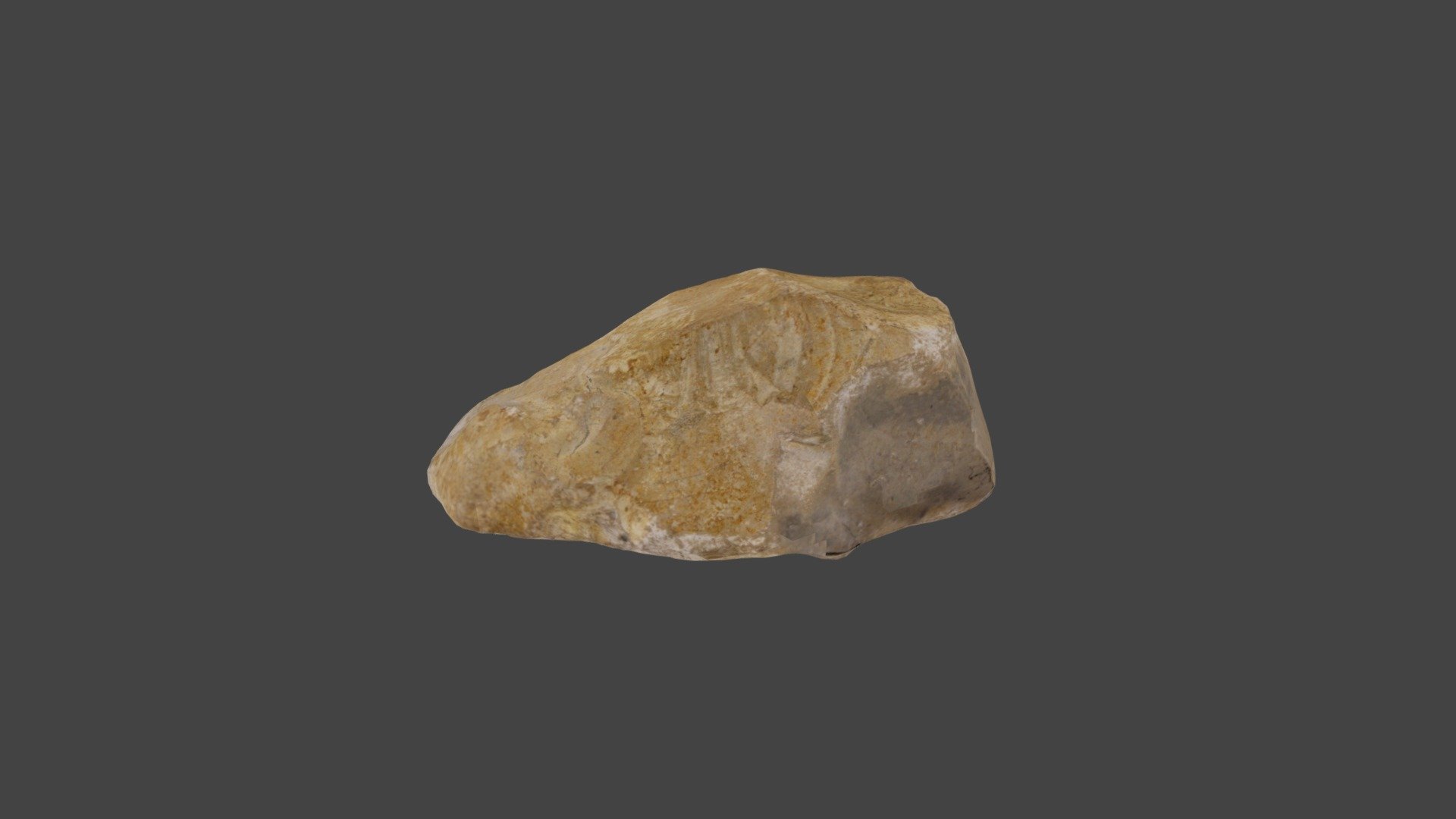 Silex (roche sédimentaire siliceuse) - 3D model by geoscience_lemans ...