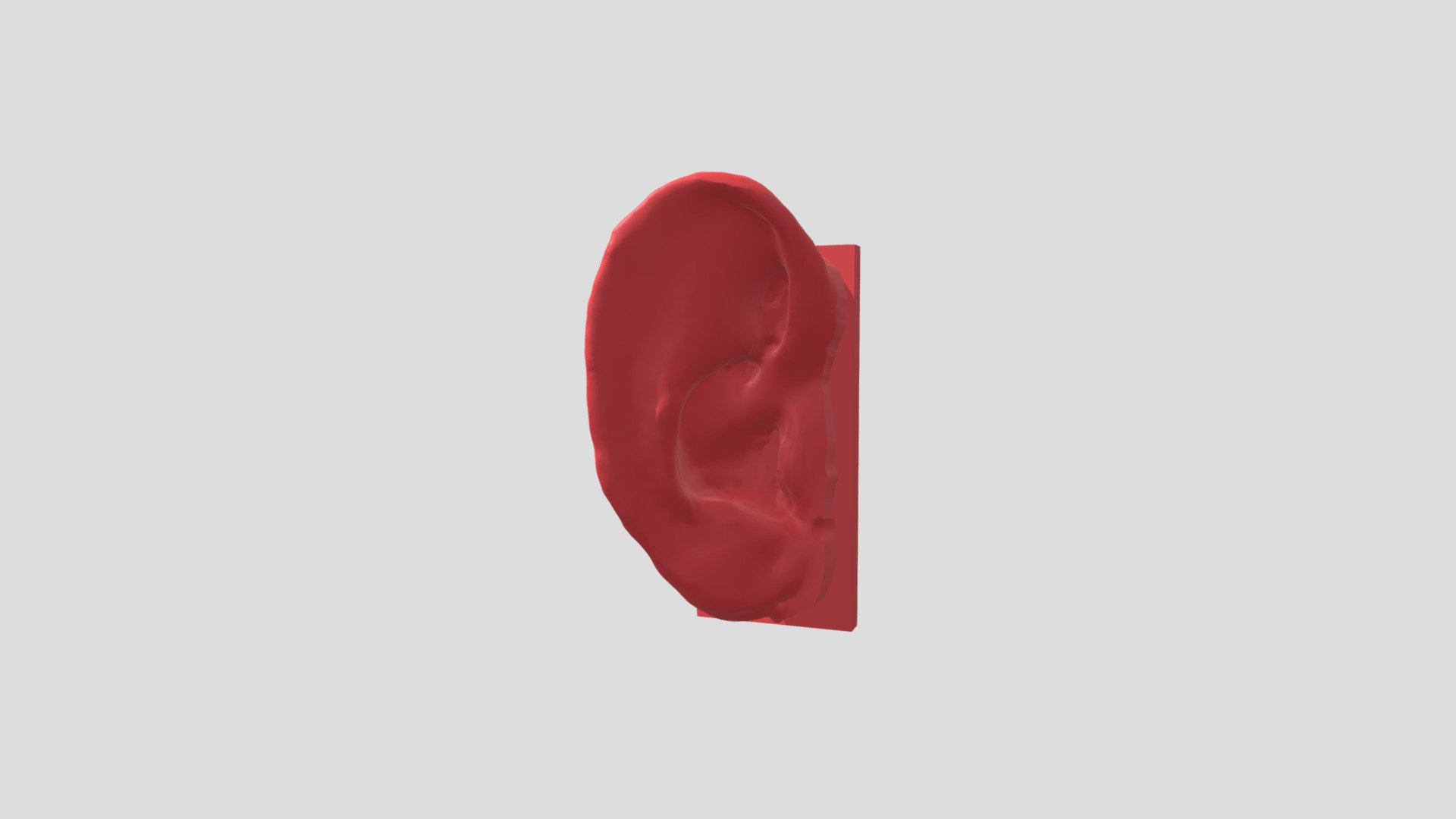 Ohr - Download Free 3D model by megamuffel [579e420] - Sketchfab