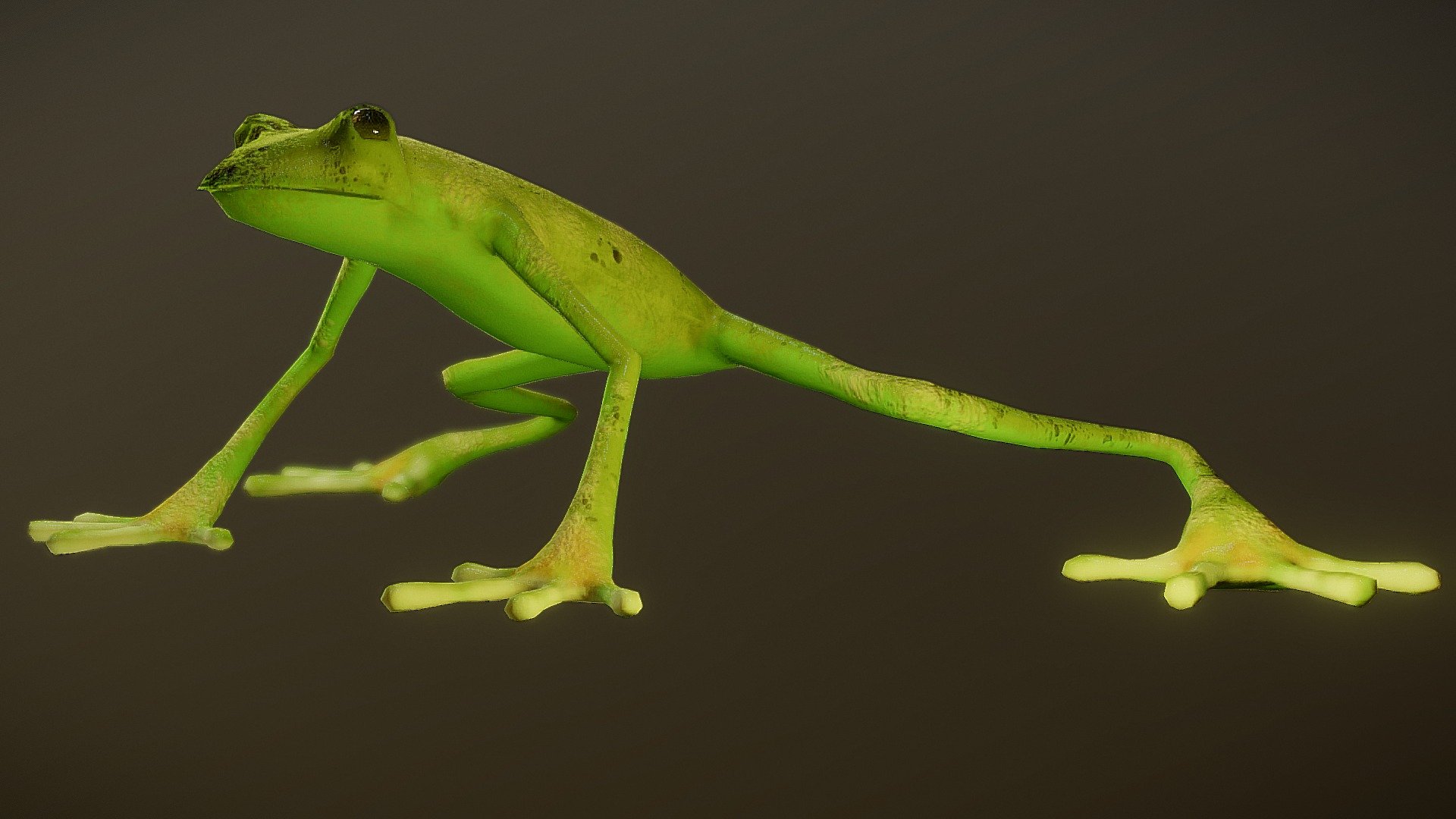 Organic Model Assignment - 3D model by amt16 [57a12c1] - Sketchfab