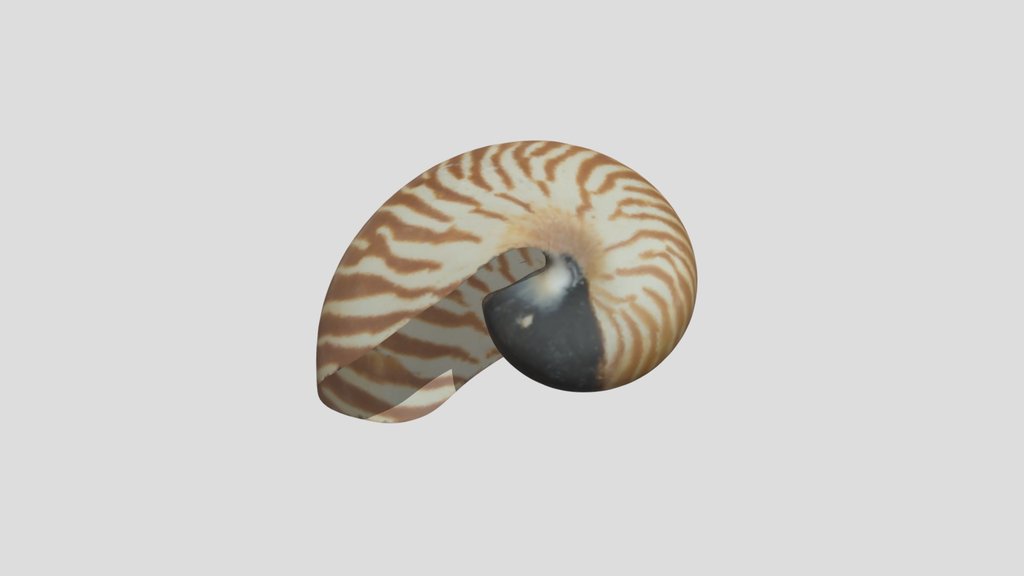 FSU EOAS Collection - A 3D model collection by Immersive Scholarship ...