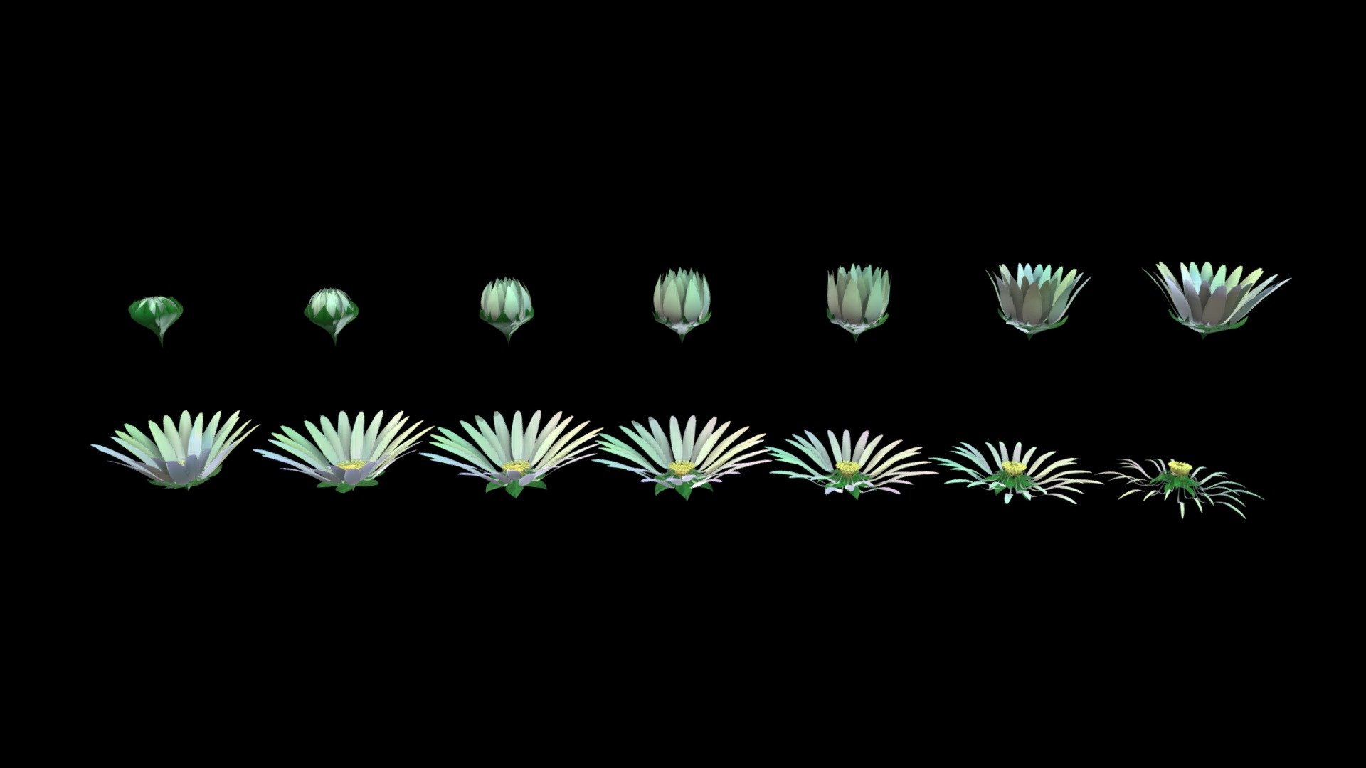Digital_Flower_E_by xyzuvwopq - Download Free 3D model by xyzuvwopq ...