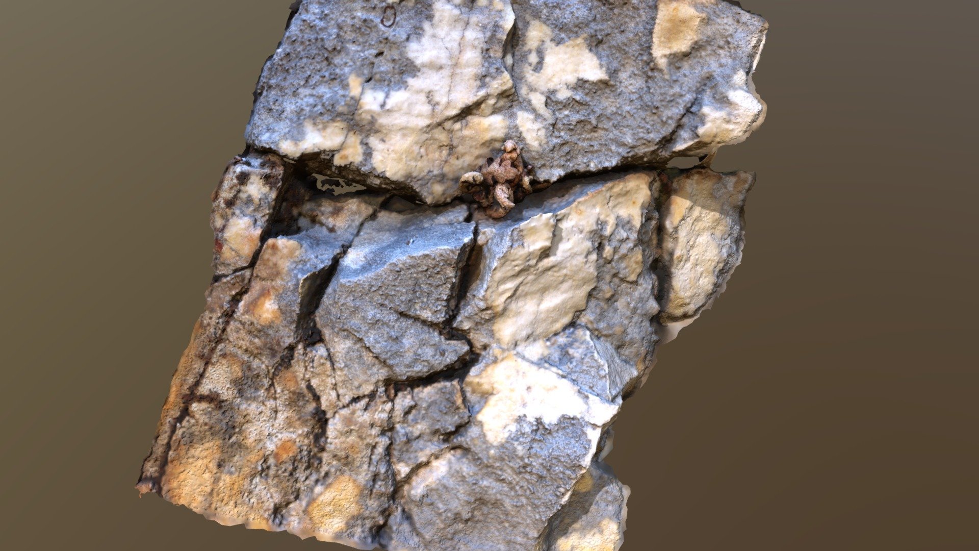 rock outcrop with rustyback fern - Croatia - Download Free 3D model by ...