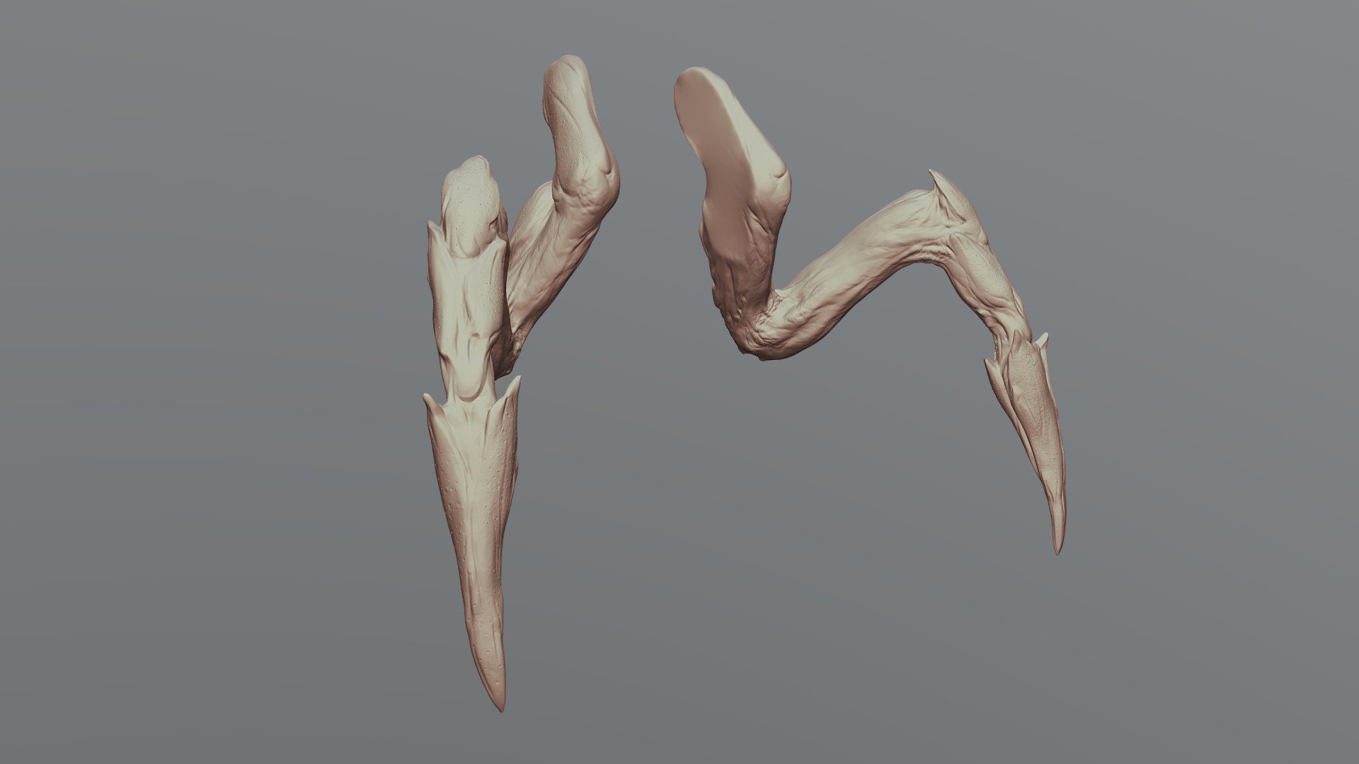 Insect Limbs 1 - Buy Royalty Free 3D model by Rumpelstiltskin ...
