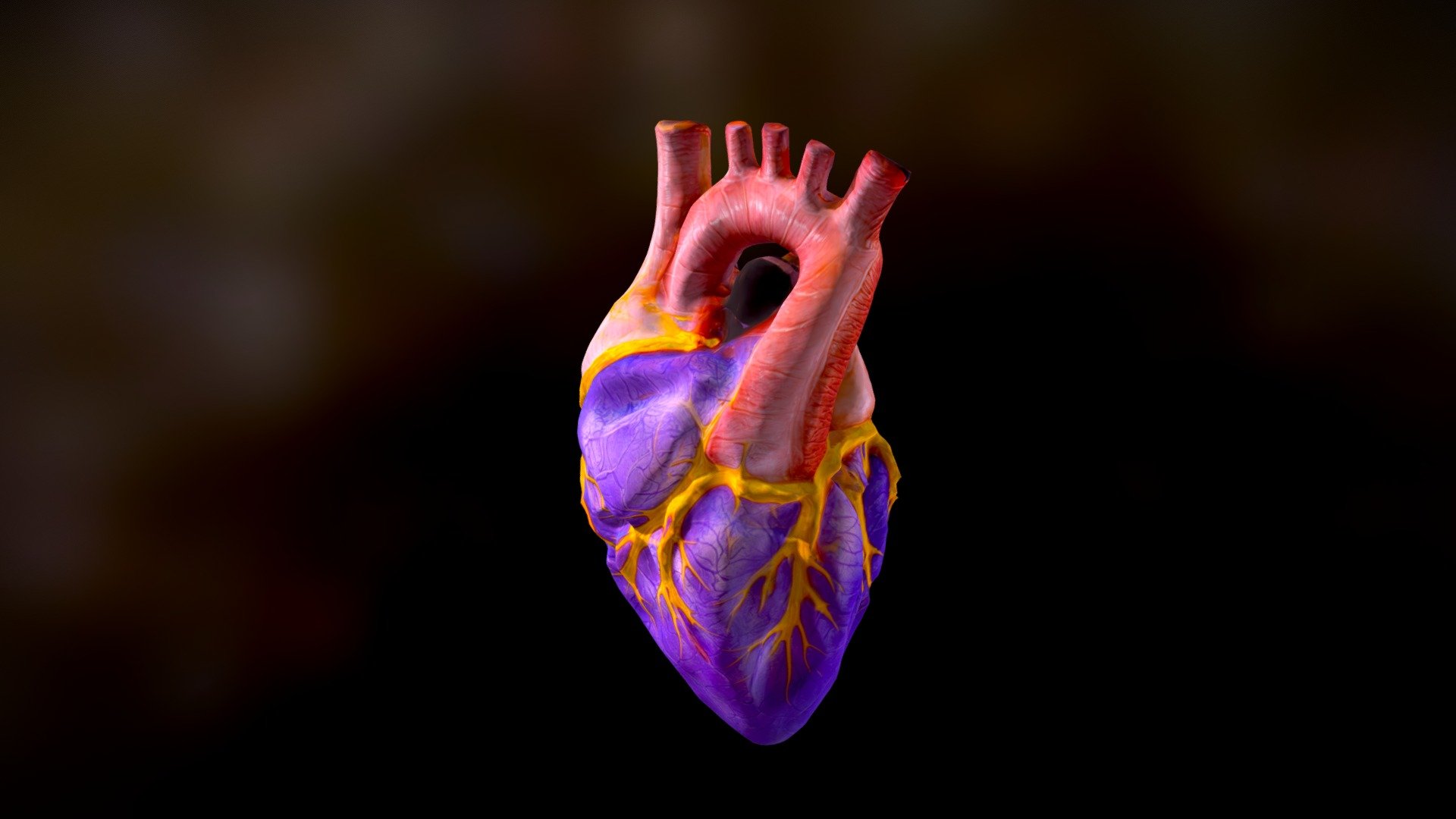 The Heart Anatomy - Buy Royalty Free 3D model by PATH DEFORM ...