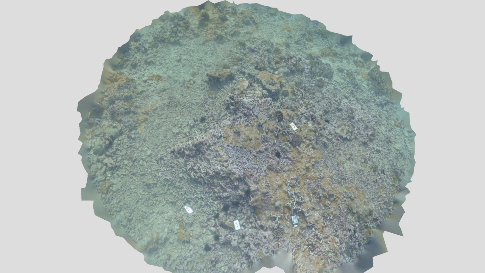 Oʻahu HNL Airport (September 2022) - 3D model by Coral Resilience Lab ...