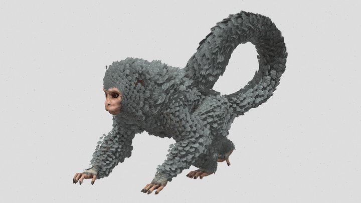 Monkeys 3D models - Sketchfab