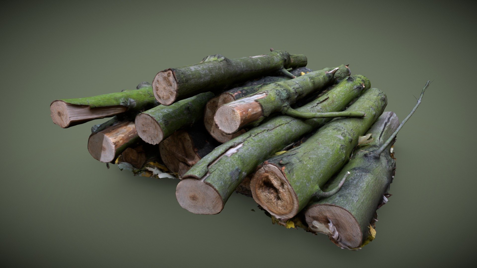 Wood Logs Scan - Download Free 3D model by MrUnity (@MrUnityCreations ...