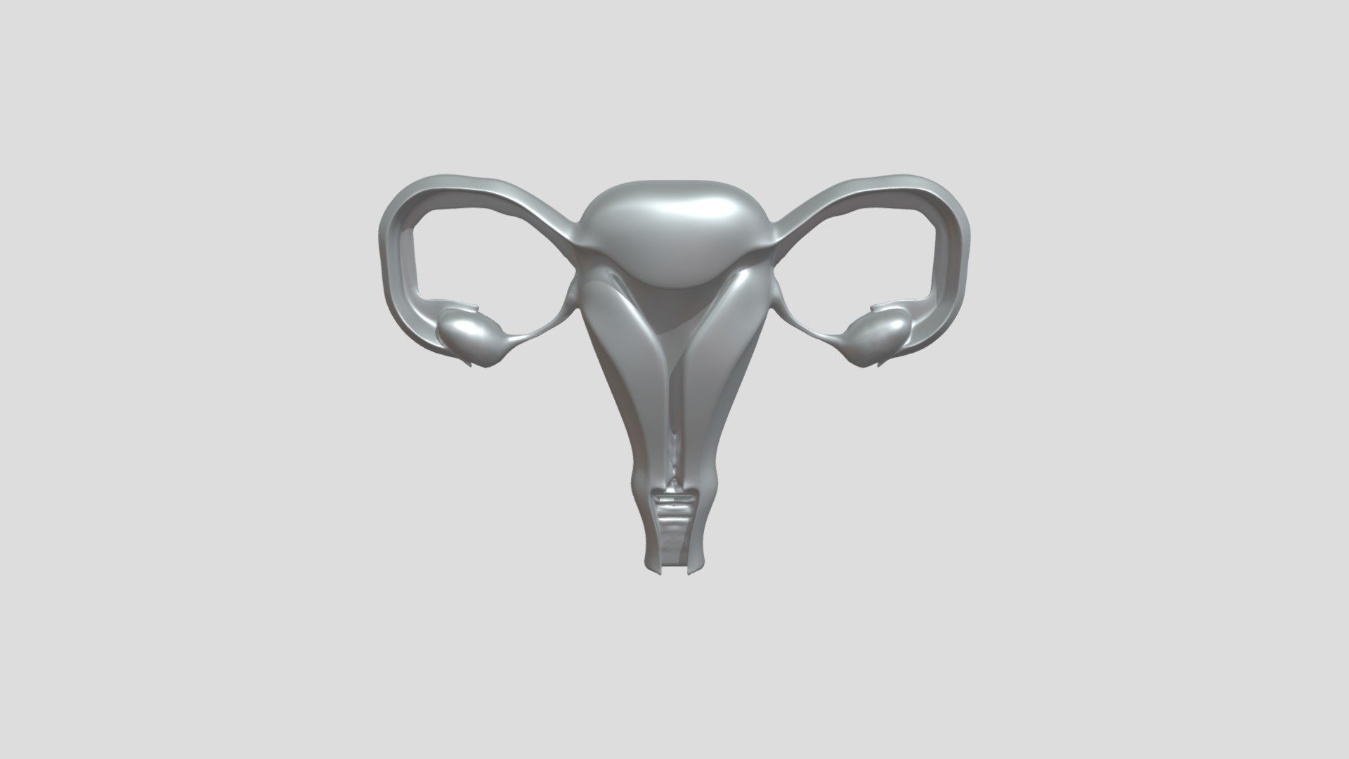 human uterus model - 3D model by bhardwajchandan949 [57f97ae] - Sketchfab