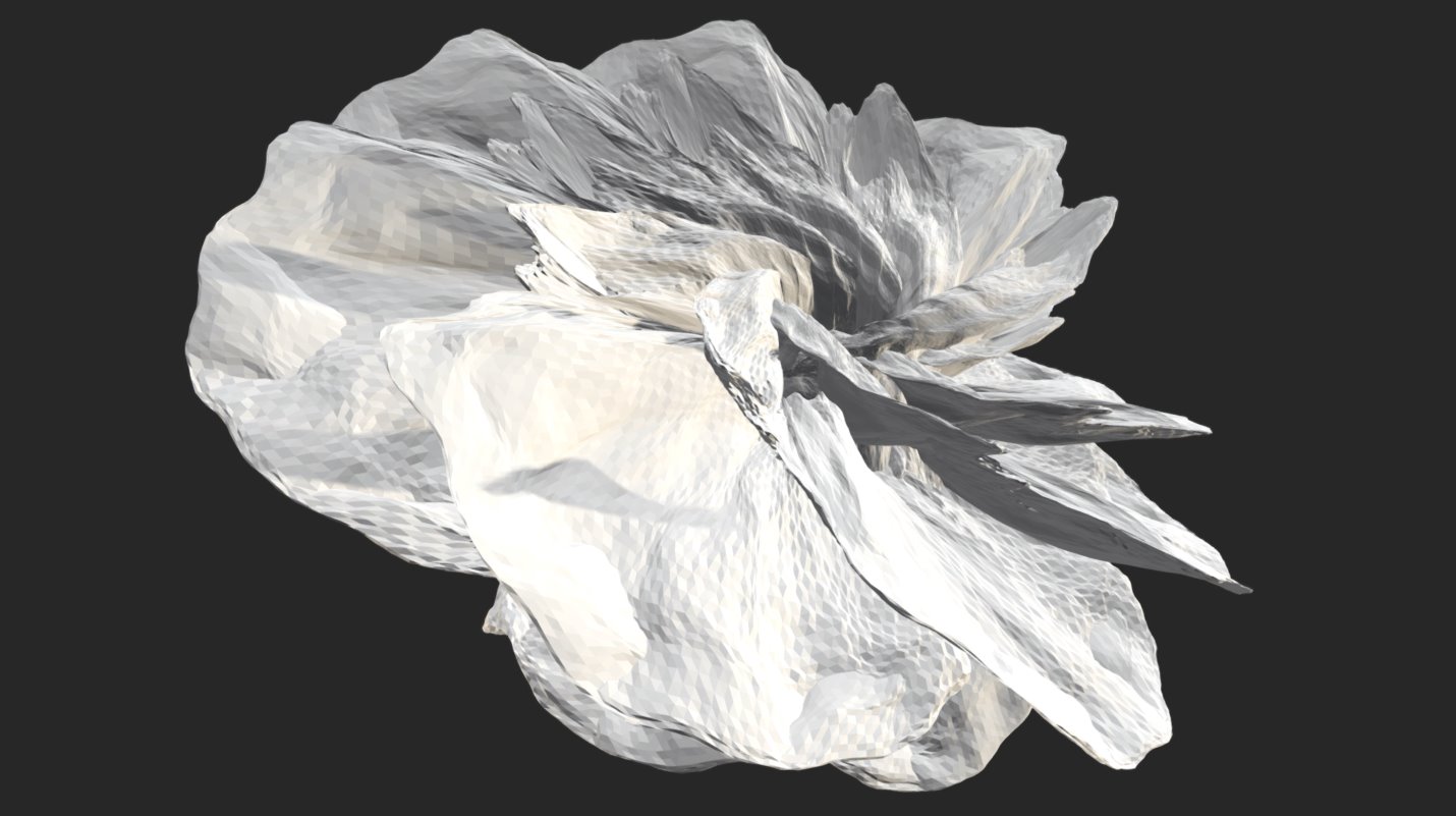 Rose Shell - 3D model by Eric.Matthaey [57fd599] - Sketchfab