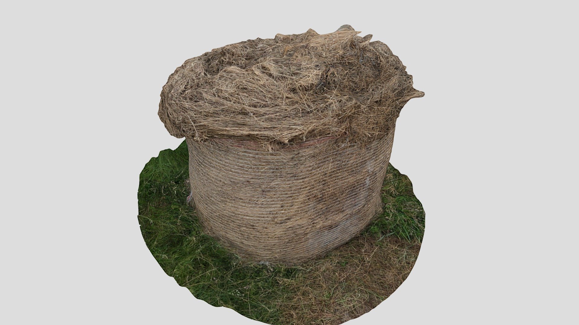Hay Scan 8k 001 - Download Free 3D model by immerge [580186a] - Sketchfab