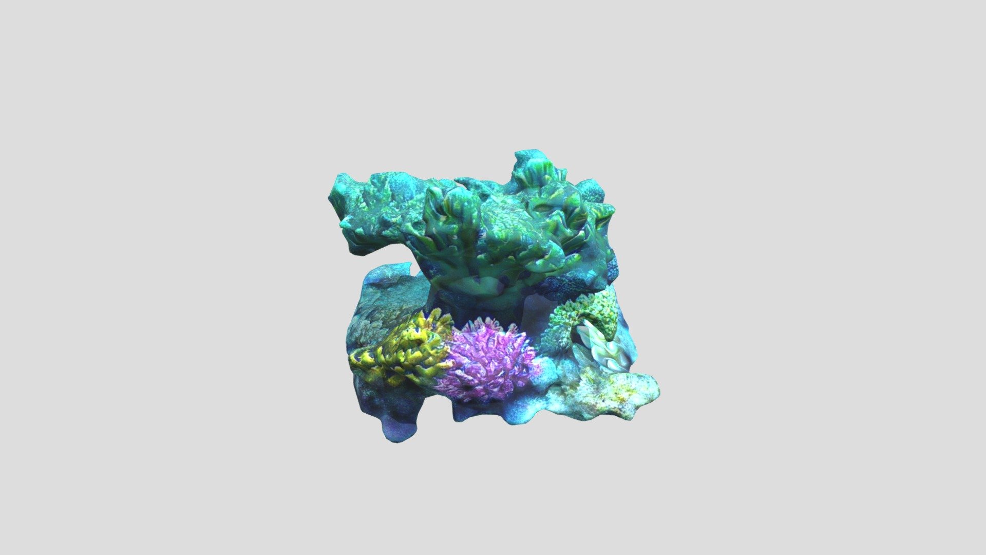 Coral Reef L - Download Free 3D model by stefanorivera [5801f1a ...