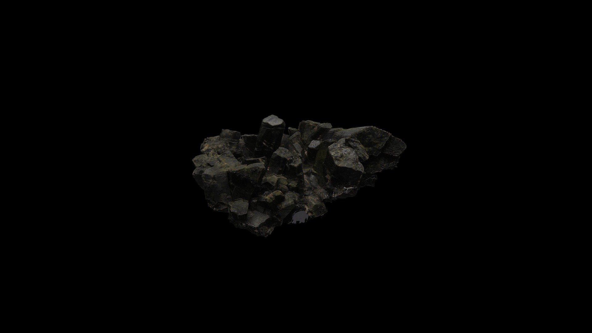 Rogovača - Download Free 3D model by Prirodoslovni muzej Slovenije ...