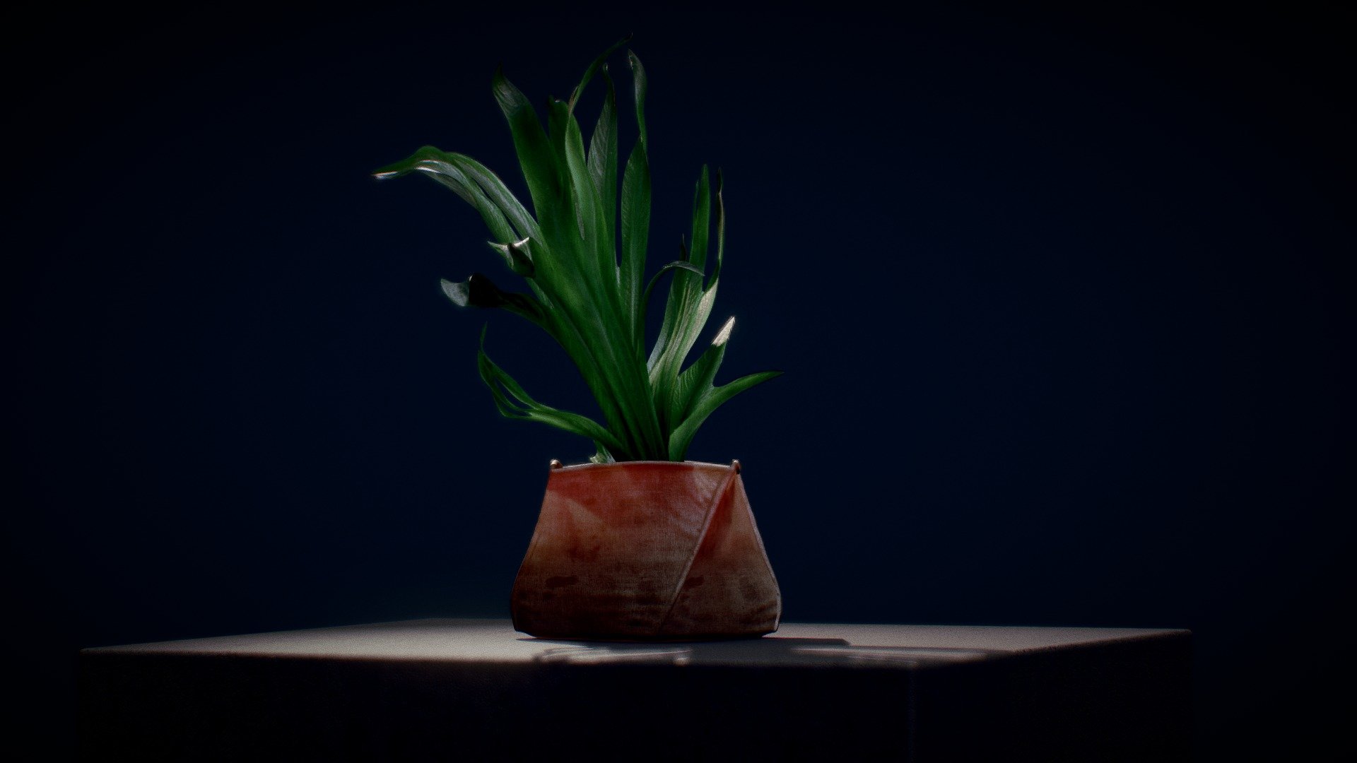PLANT - 3D model by Stéphane Agullo (@sa3d) [580c29e] - Sketchfab