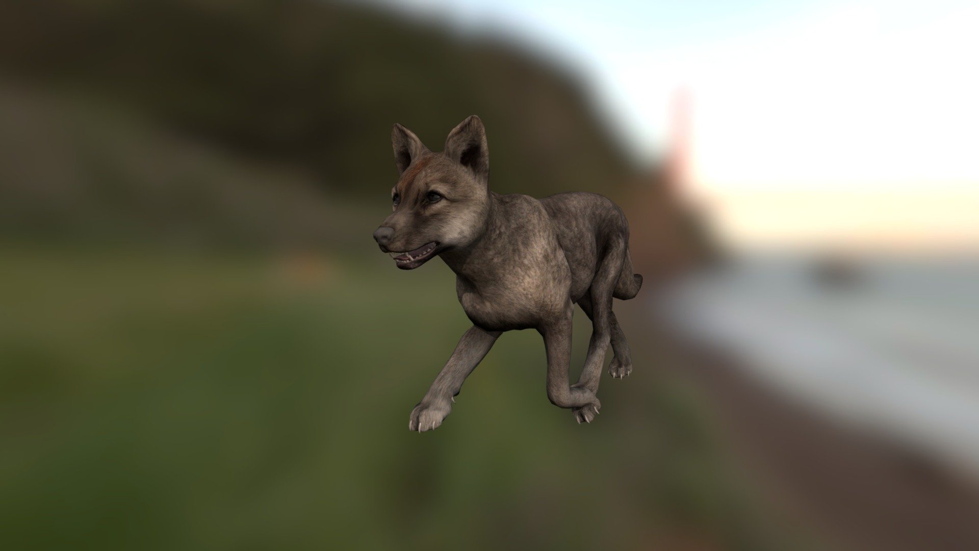 [Animated] Summer Wolf Cub - Download Free 3D model by Puppies4life ...