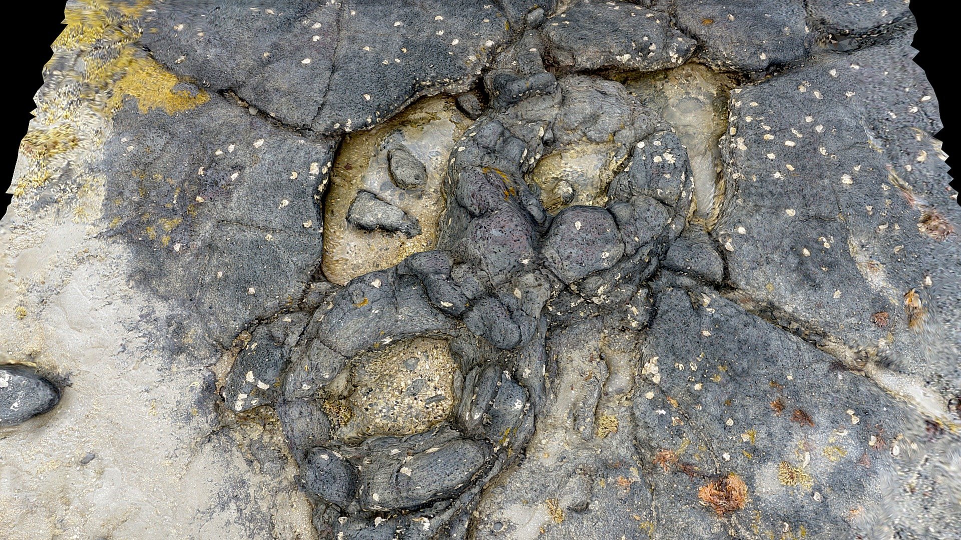 Lava tree casts at Takapuna - Download Free 3D model by b_nealie ...