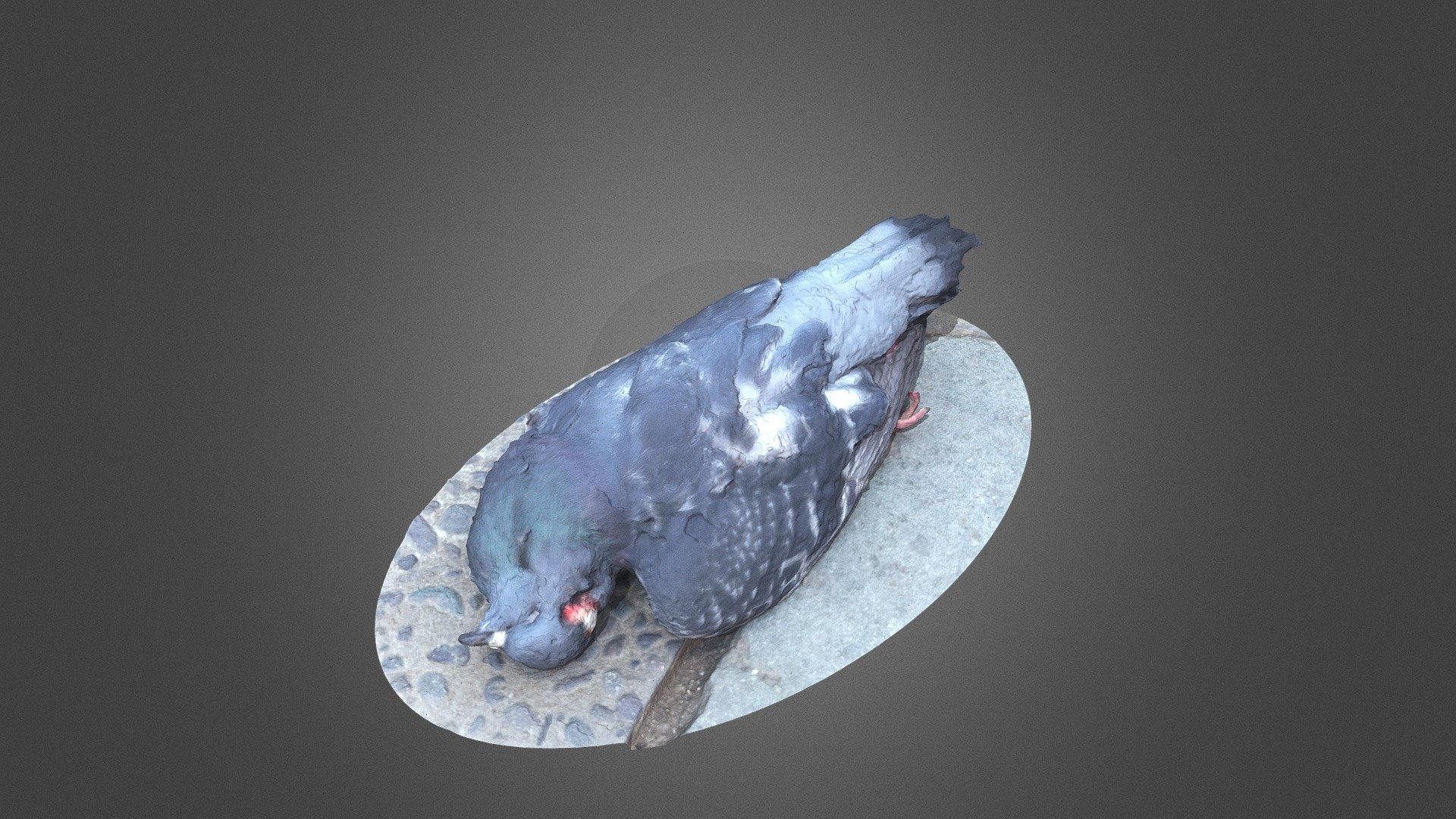 RIP Paloma - 3D model by Marcelo Briones (@marcelo-briones) [581c169 ...