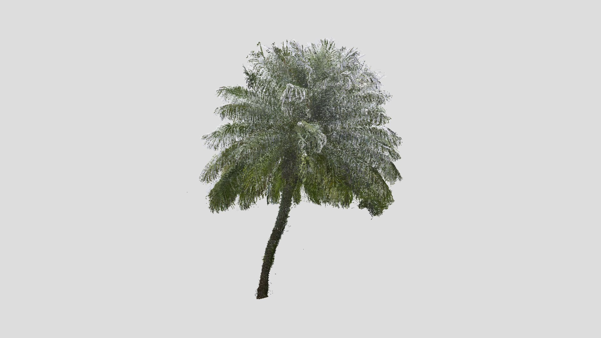 Tree Point Cloud - Buy Royalty Free 3D model by magnum_opus (@tree ...