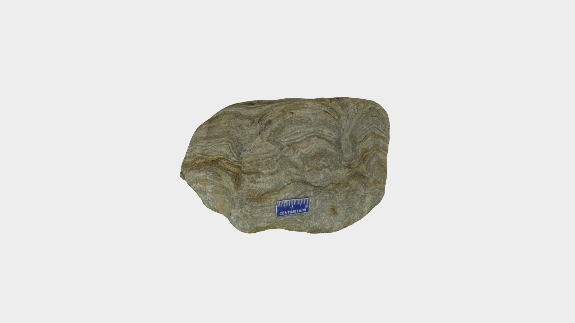 sedimentary_fossil sample 20 - Download Free 3D model by UTSC DPES ...