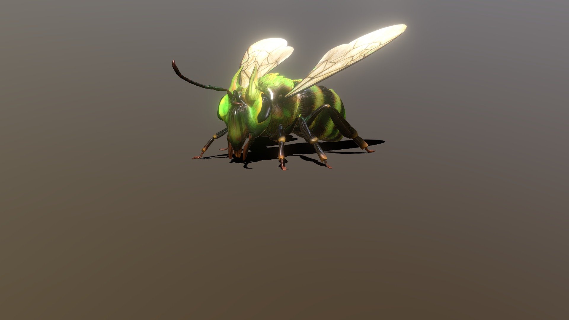 Queen Bee - 3D model by ArachnoBoy (@vang807) [5829752] - Sketchfab