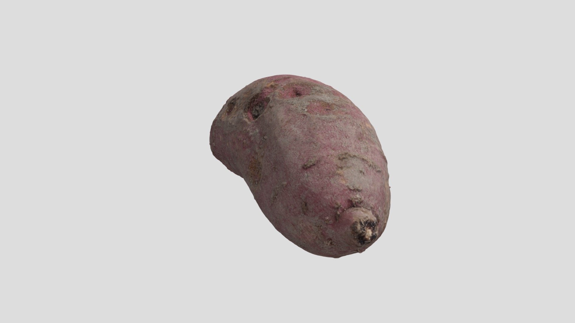 Sweet Potato #102 - Buy Royalty Free 3D model by EnviroScan1 [582c7d5 ...
