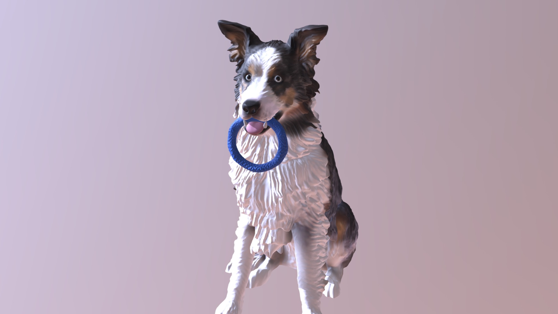 1901018- Patch- Border Collie - 3D model by Arty Lobster - Pet ...