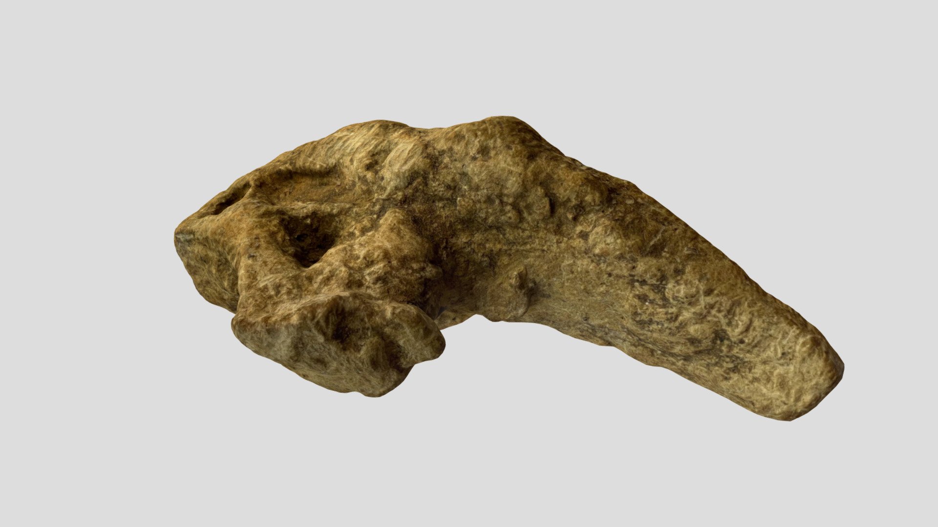 Stone/bone - Download Free 3D model by seanbarden [583841b] - Sketchfab
