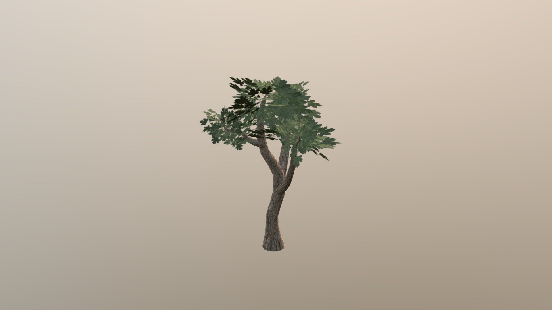 Tree - 3D model by amber.clarke [58398cd] - Sketchfab