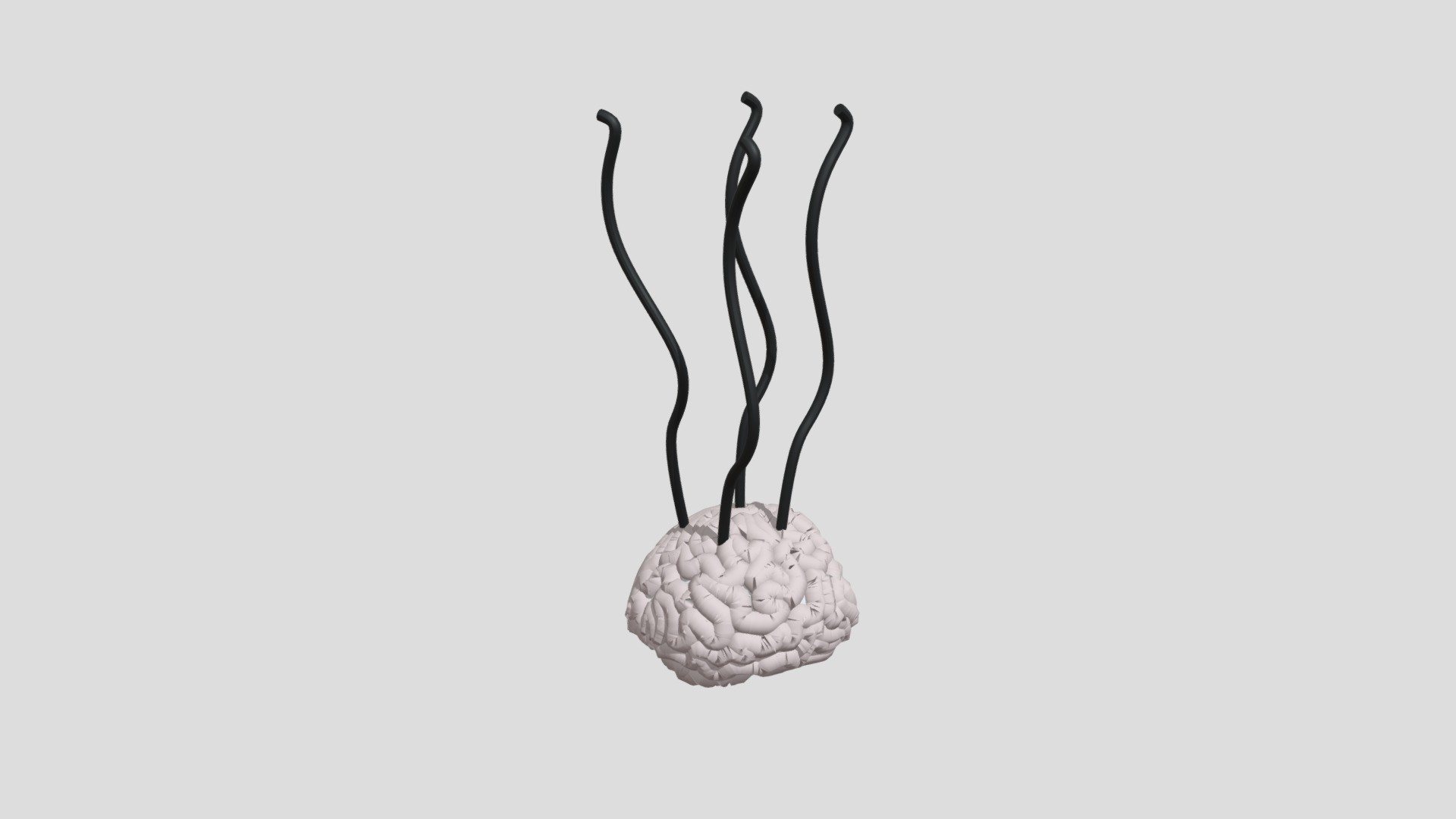 Brain Wire - Download Free 3D model by zoeypotato [5843482] - Sketchfab