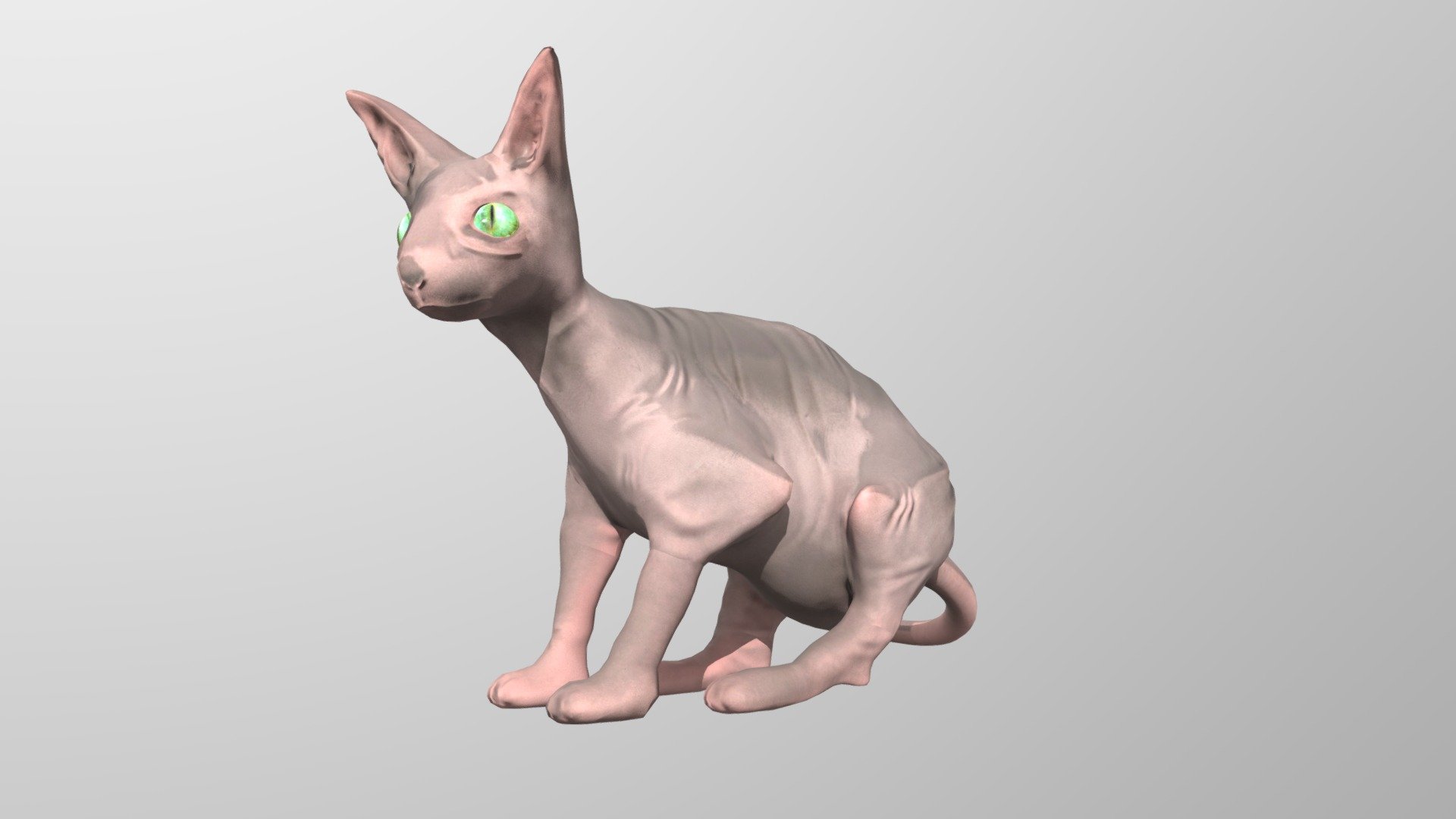 SphynxCat - 3D model by Pedro101 [584a368] - Sketchfab