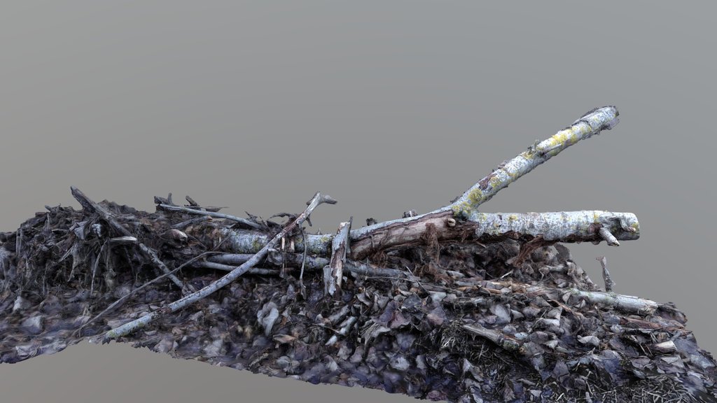 Stuff for game - A 3D model collection by Baby_boyz - Sketchfab