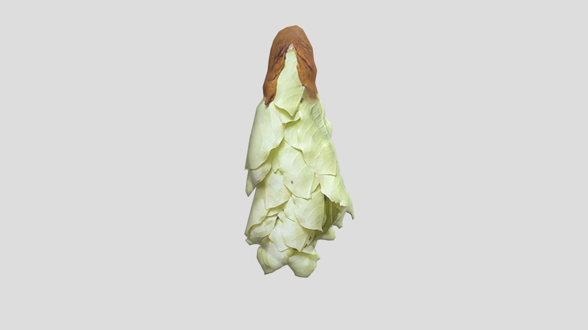 Ajan Kelicung - Download Free 3D model by f1122211005 [585d593] - Sketchfab