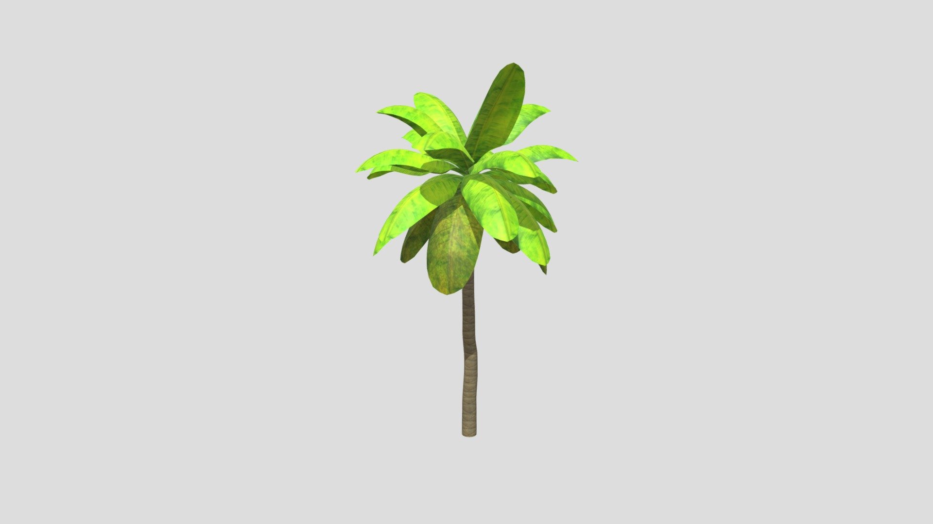 Palm Tree Model - Download Free 3D model by HypeLocomotive [585fb6e ...
