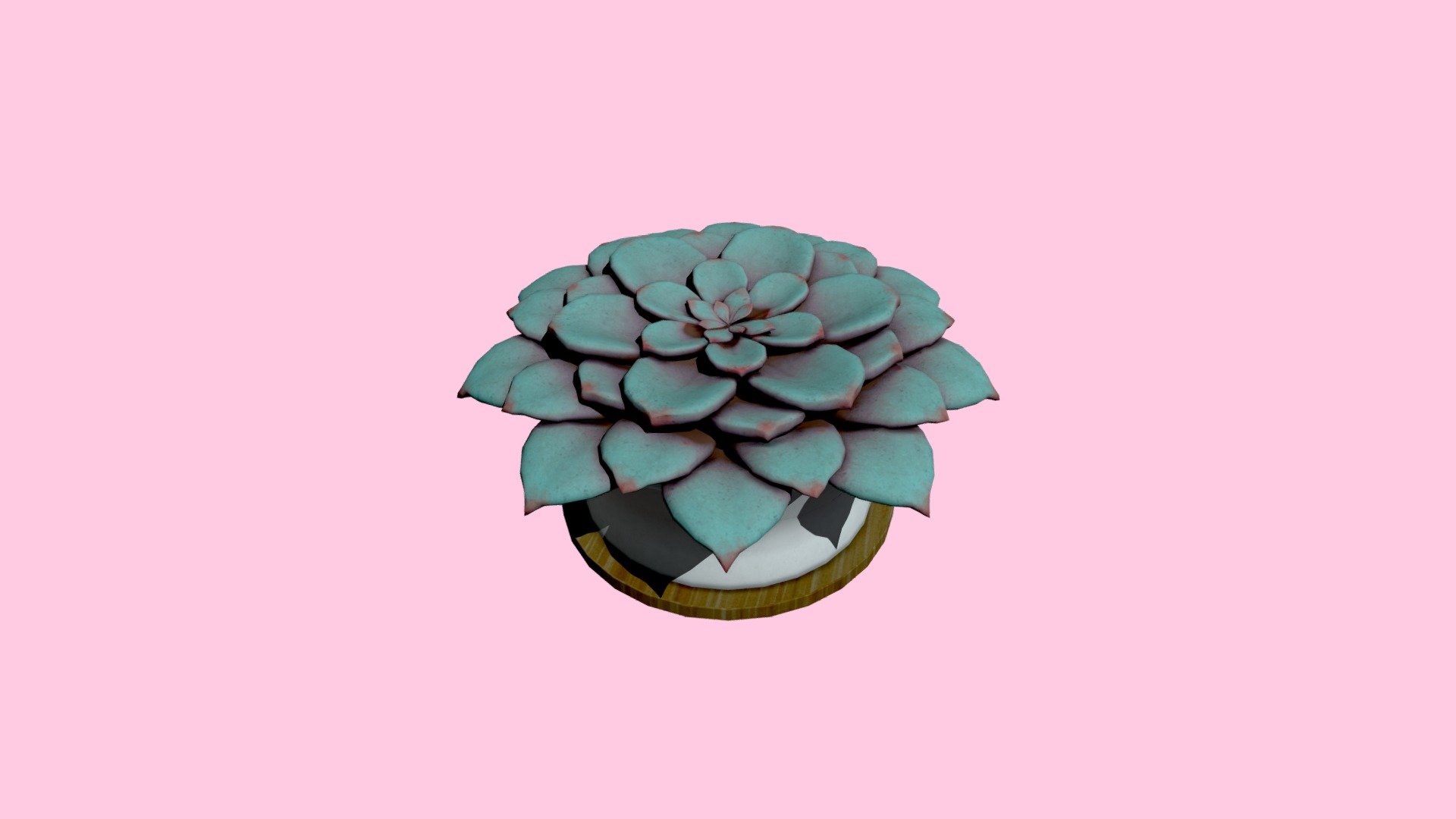Succulent 2 - 3D model by Catherine B (@CatherineB) [5865b31] - Sketchfab
